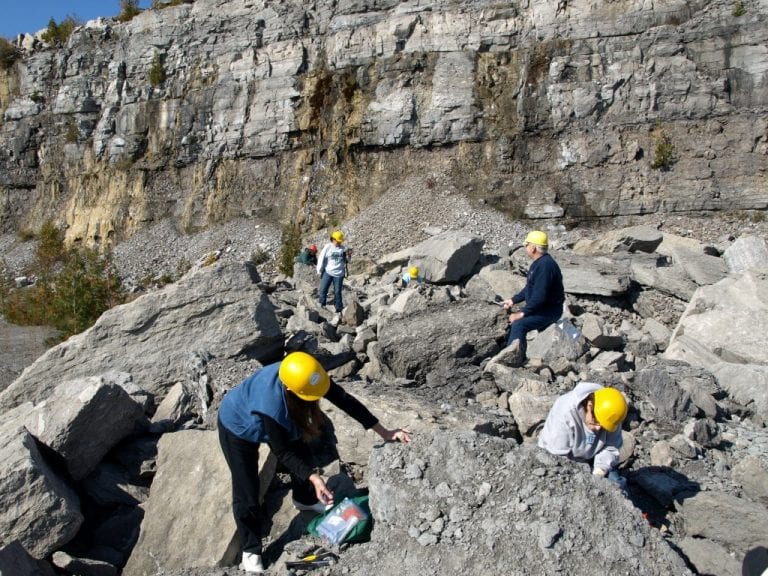 Fossil Digs - Paleo Joe