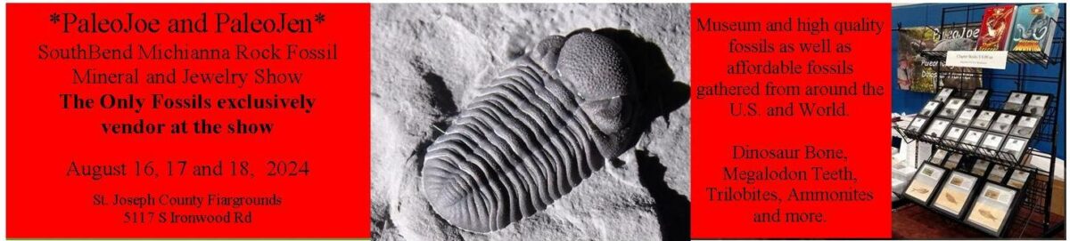 Paleo Joe | Award Winning paleontologist & Fossil Shop